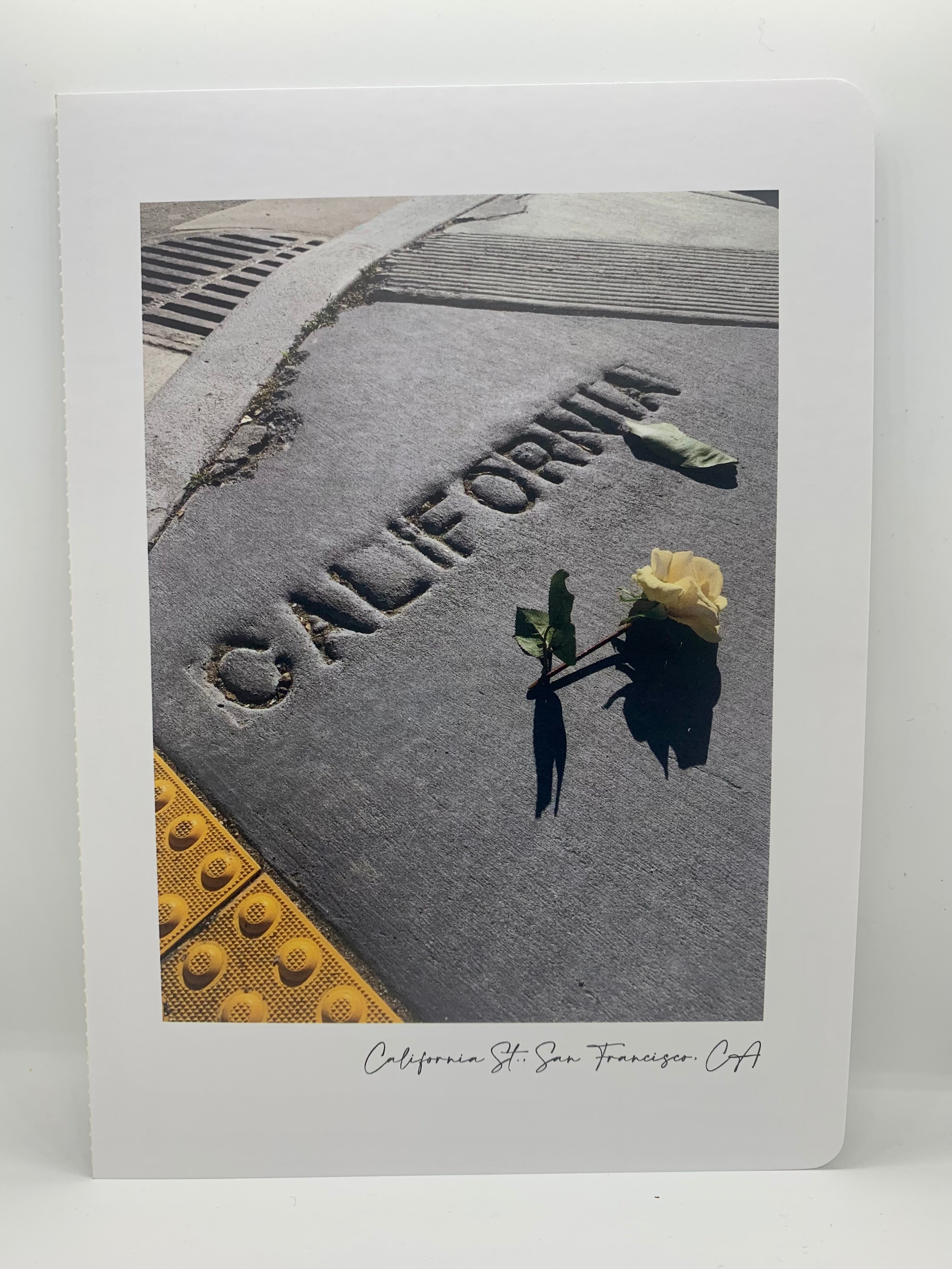 Limited Edition - CA Greeting Card set – seedvision+co